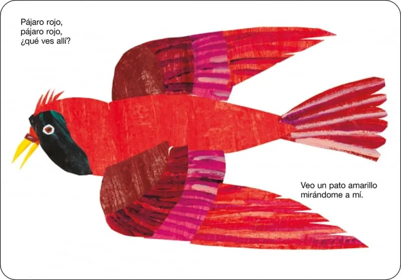Dibujos Para Colorear Del Oso Pardo De Eric Carle Kalandraka Libros